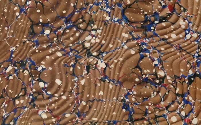 In muscle cells, fermentation produces _____. - Scotlandb2b